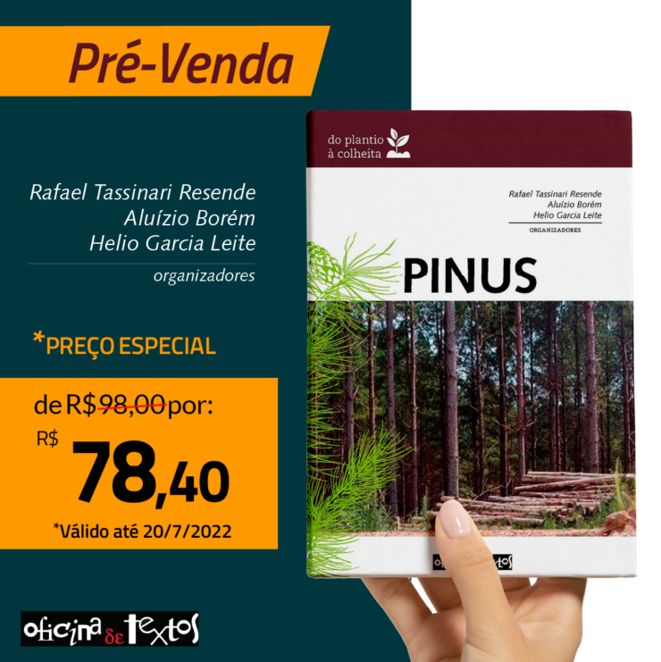 A importância do Pinus spp. no Brasil: adaptação e expansão