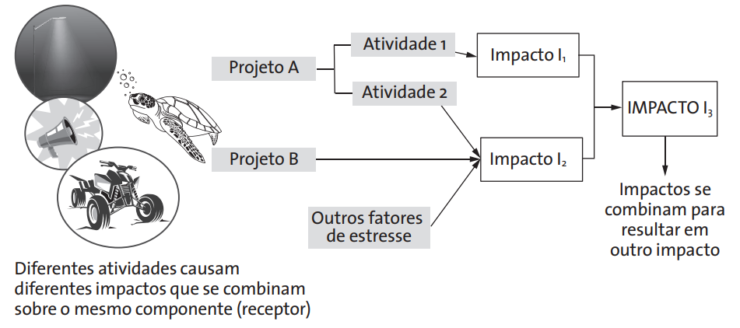 Você sabe quais são os tipos de impactos cumulativos em um projeto?