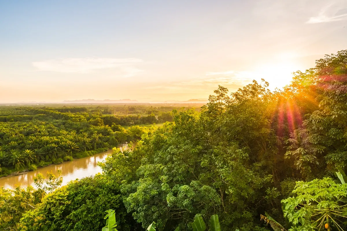 Quais são as características do clima equatorial?