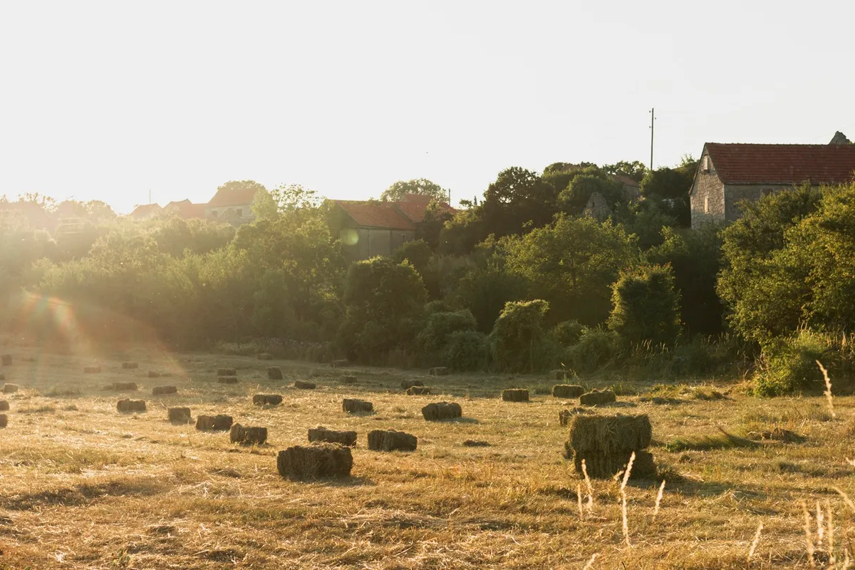 Por que o êxodo rural ainda acontece no Brasil?
